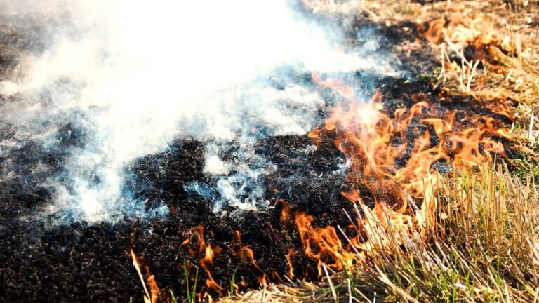 Fredericksburg TX Brush Pile Burning – Land Clearing Near Me